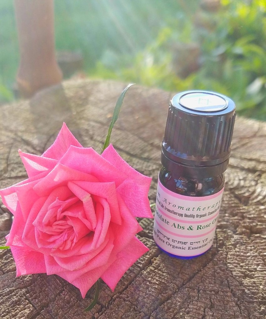 Rose Geranium Absolute & Chocolate Absolute Essential Oil Blend 5ml ...