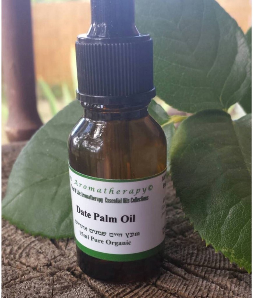 Israeli Desert Date Palm Oil- A sukkot Favorite! - Aytz Chayim Aromatherapy