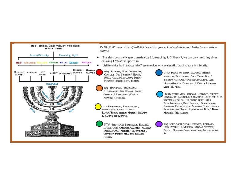 Menorah Body Chart. We are a Standing Menorah made in the image of the ...