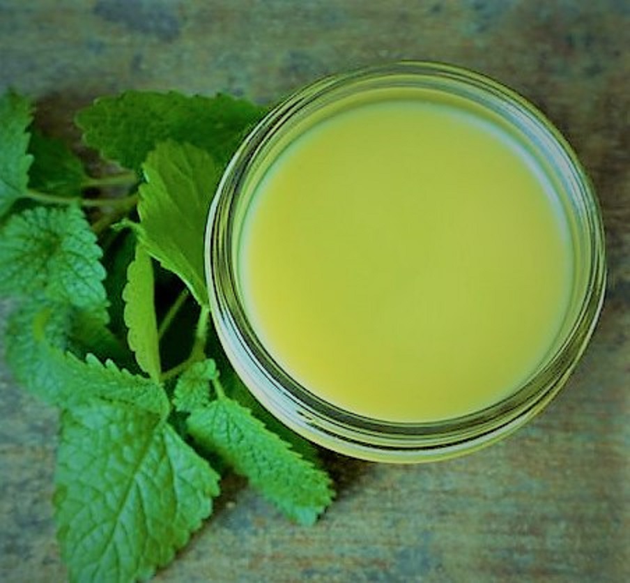 Our Exclusive Lemon Balm Salve 1oz Jar ISRAEL - Aytz Chayim Aromatherapy