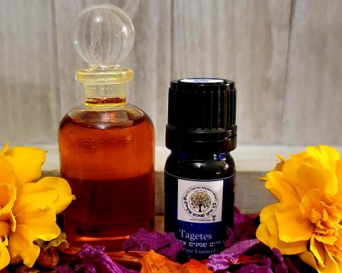 Tagetes High Quality Essential Oil 5ml Tagetes minuta - Aytz Chayim ...