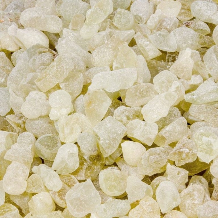White Frankincense Boswella Sacra resin 2 oz Holy Land Charged™ Resins ...