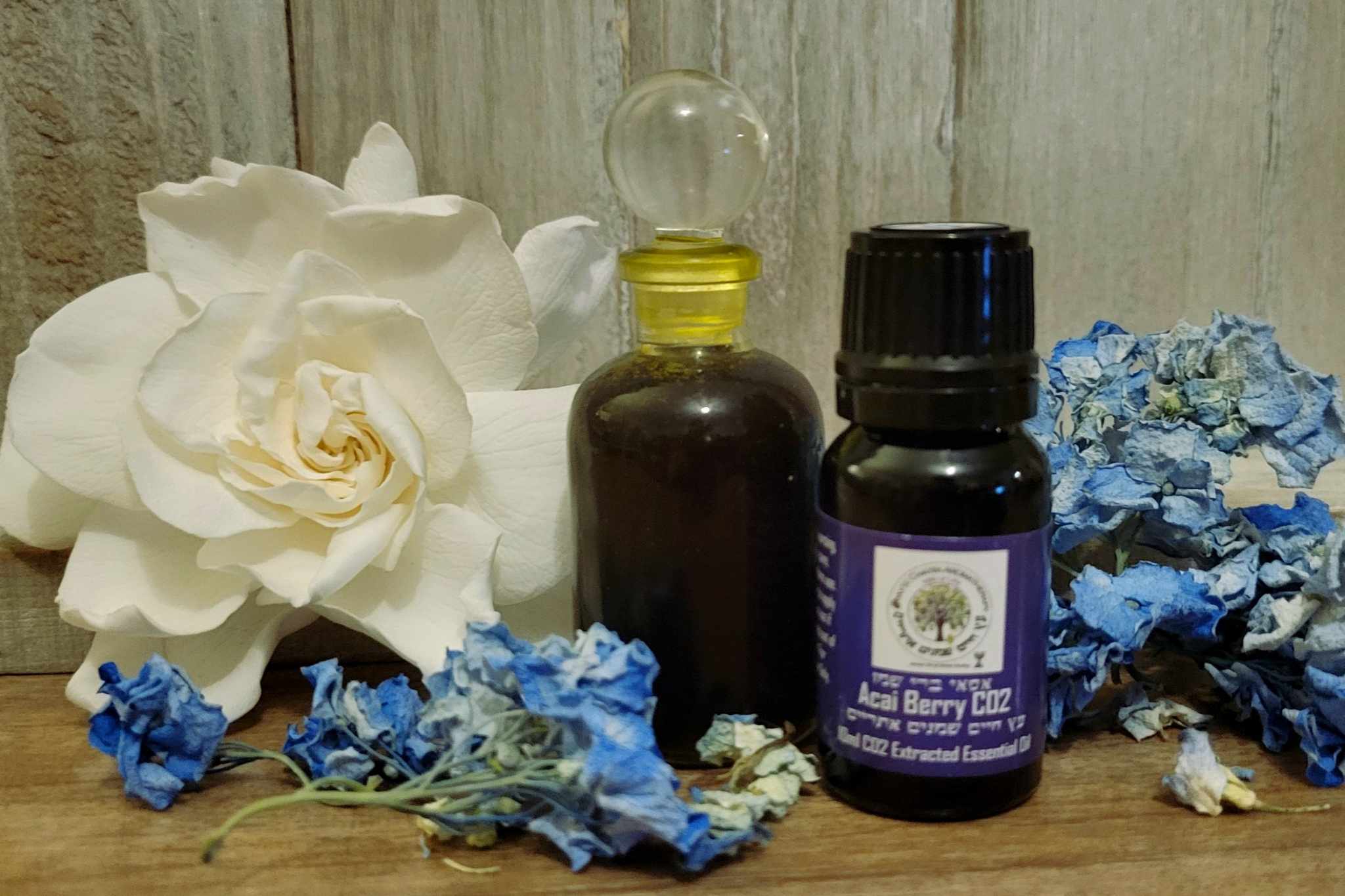 Acai Leaf and Berry CO2 Essential Oil 10ml RARE - Aytz Chayim Aromatherapy