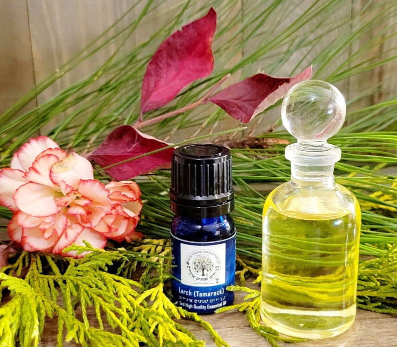 Larch (Tamarack) High-Quality Essential Oil 5ml (Larix laricina) - Aytz ...