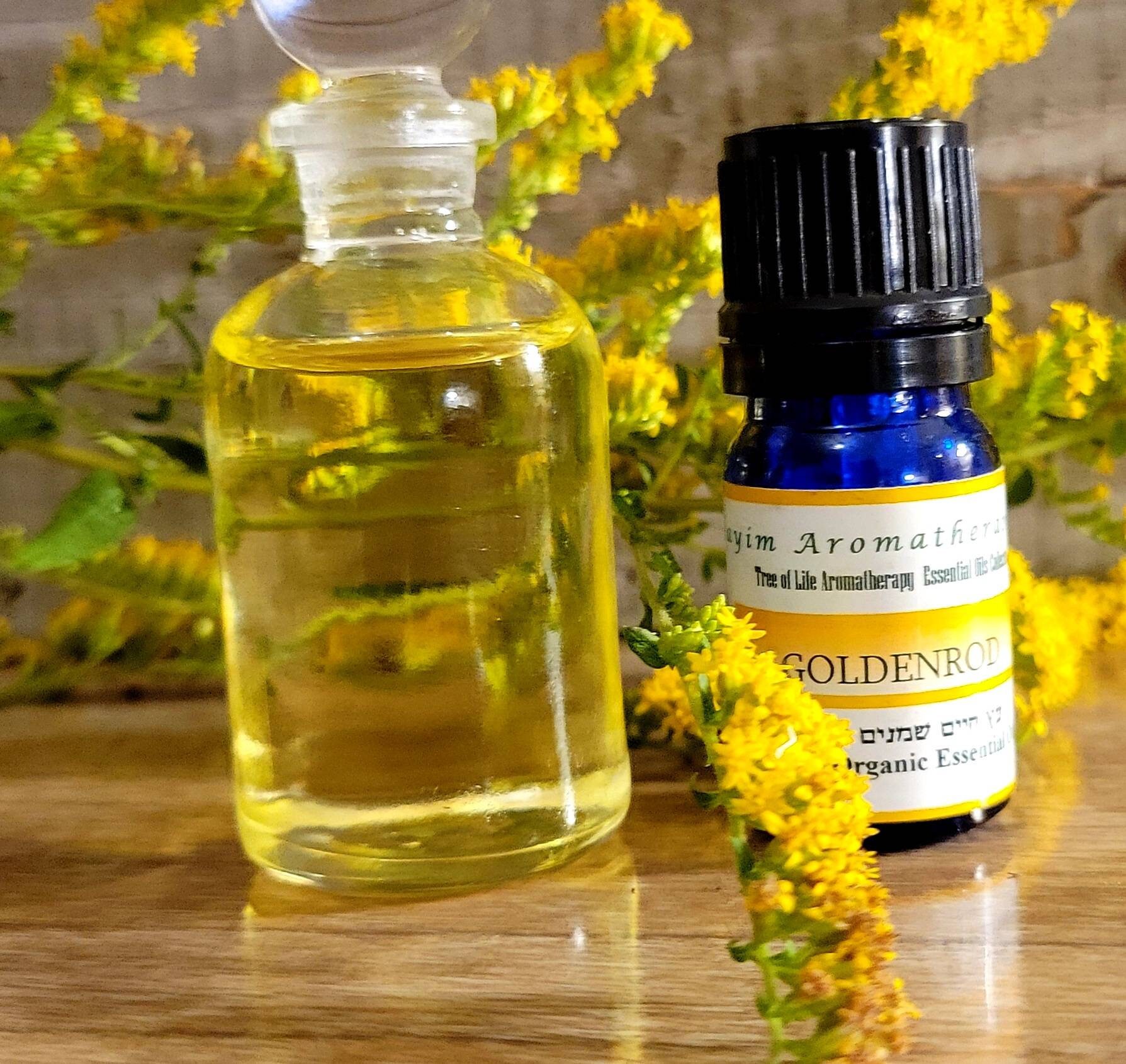 Goldenrod כרבולתן השדות Essential Oil 5ml RARE Artisan Distilled From ...