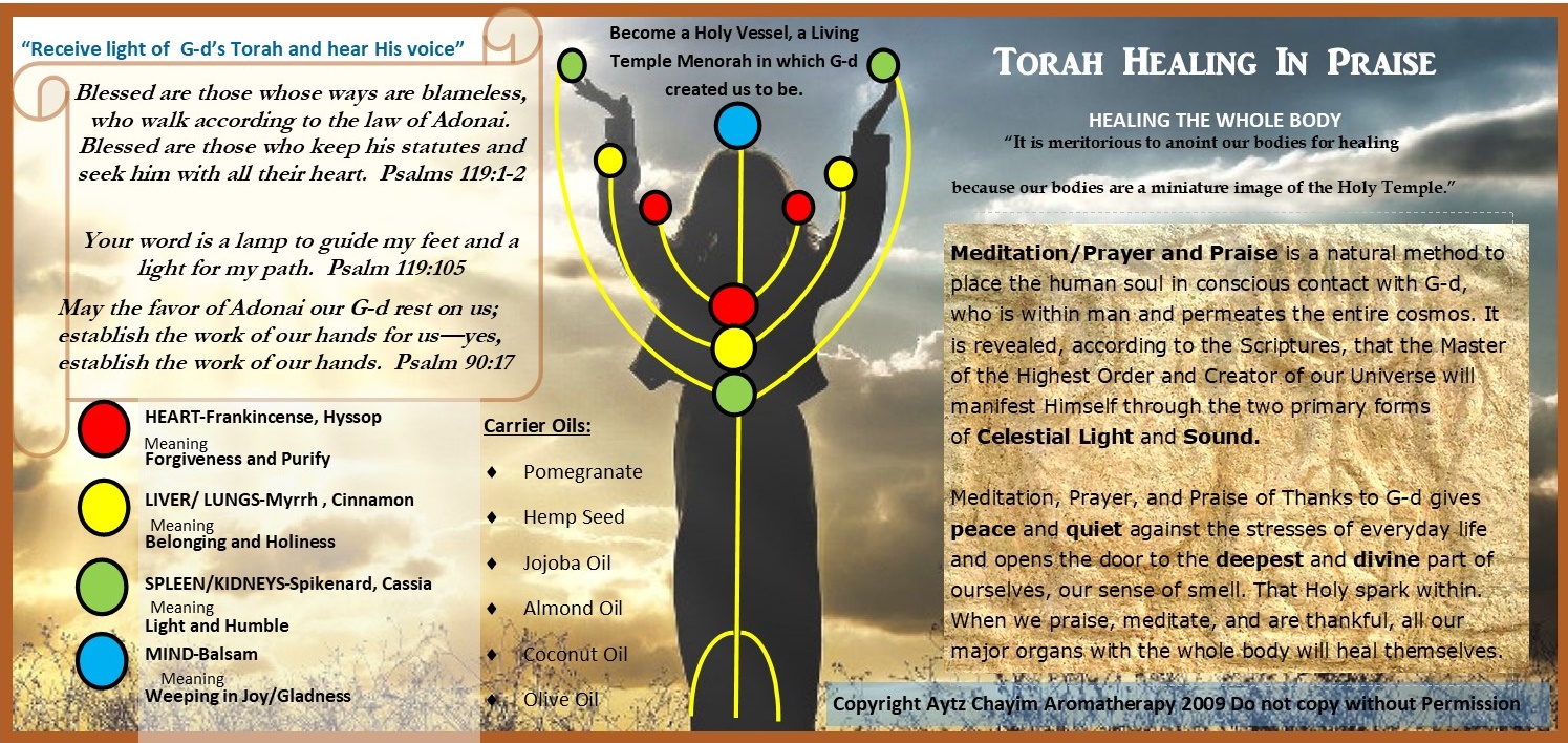 Menorah-body-chart - Aytz Chayim Aromatherapy