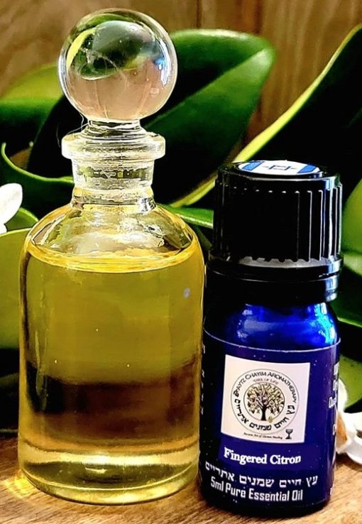 Sweet Fingered Citron High Quality Essential Oil 5ml Artisan Distilled ...