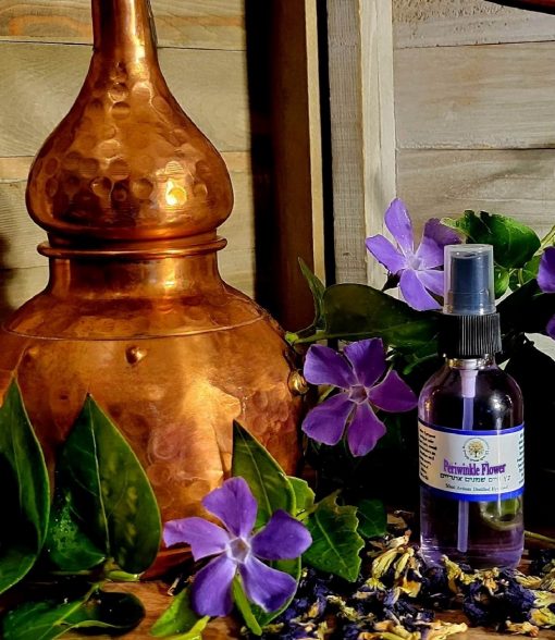 Purple Periwinkle (Vinca) Flower Hydrosol 50ml RARE - Aytz Chayim ...