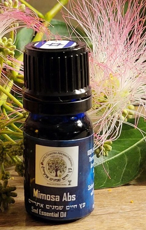 French Mimosa Absolute (Acacia decurrens) High Quality Essential Oil ...