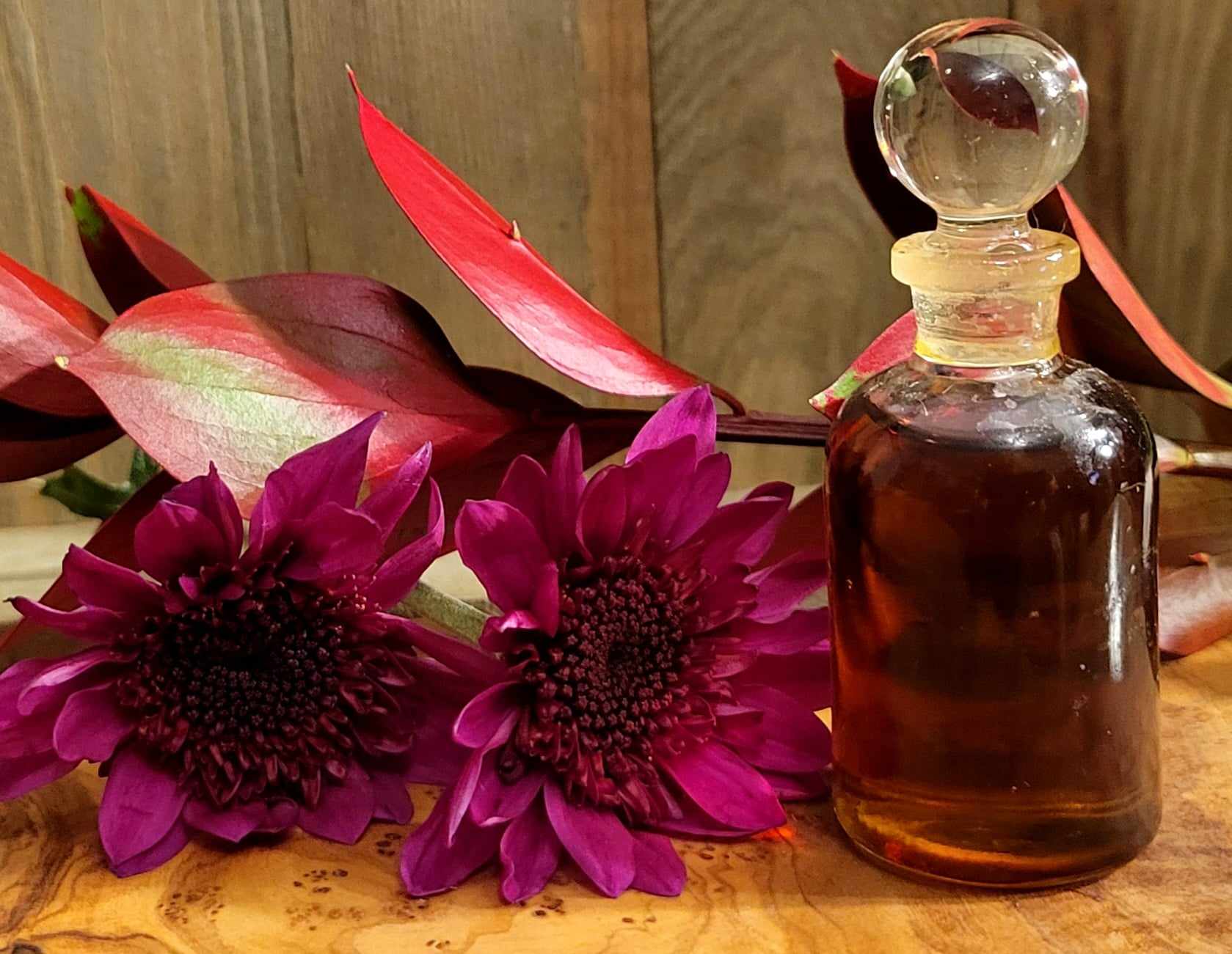 Cypriol Root High Quality Essential Oil 5ml ISRAEL - Aytz Chayim ...