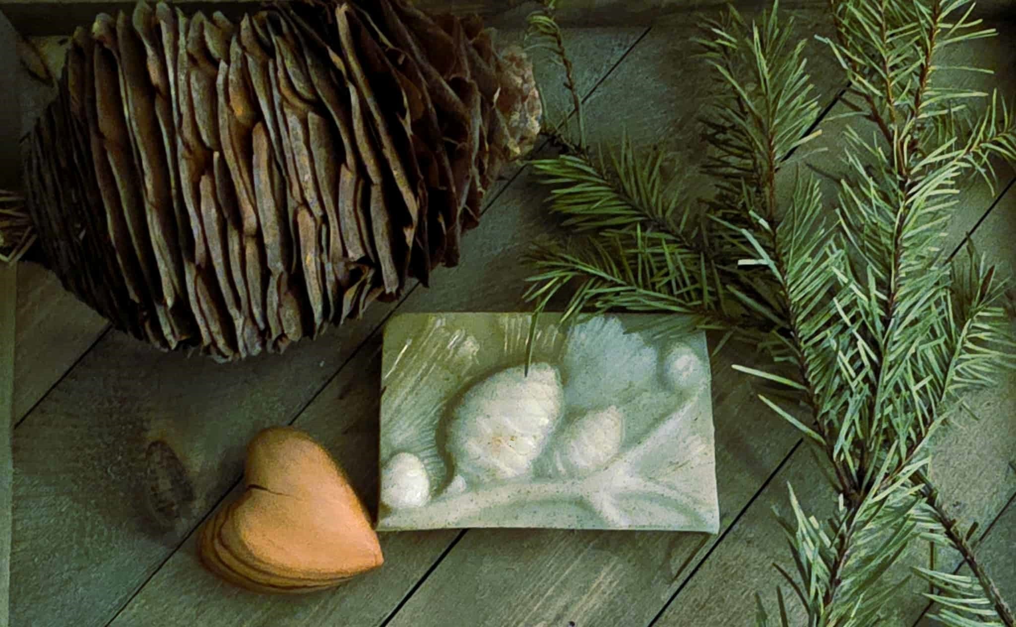 Cedarwood of Lebanon (Cedrus libani) and Jerusalem Olive Oil Soap: 3.4 ...